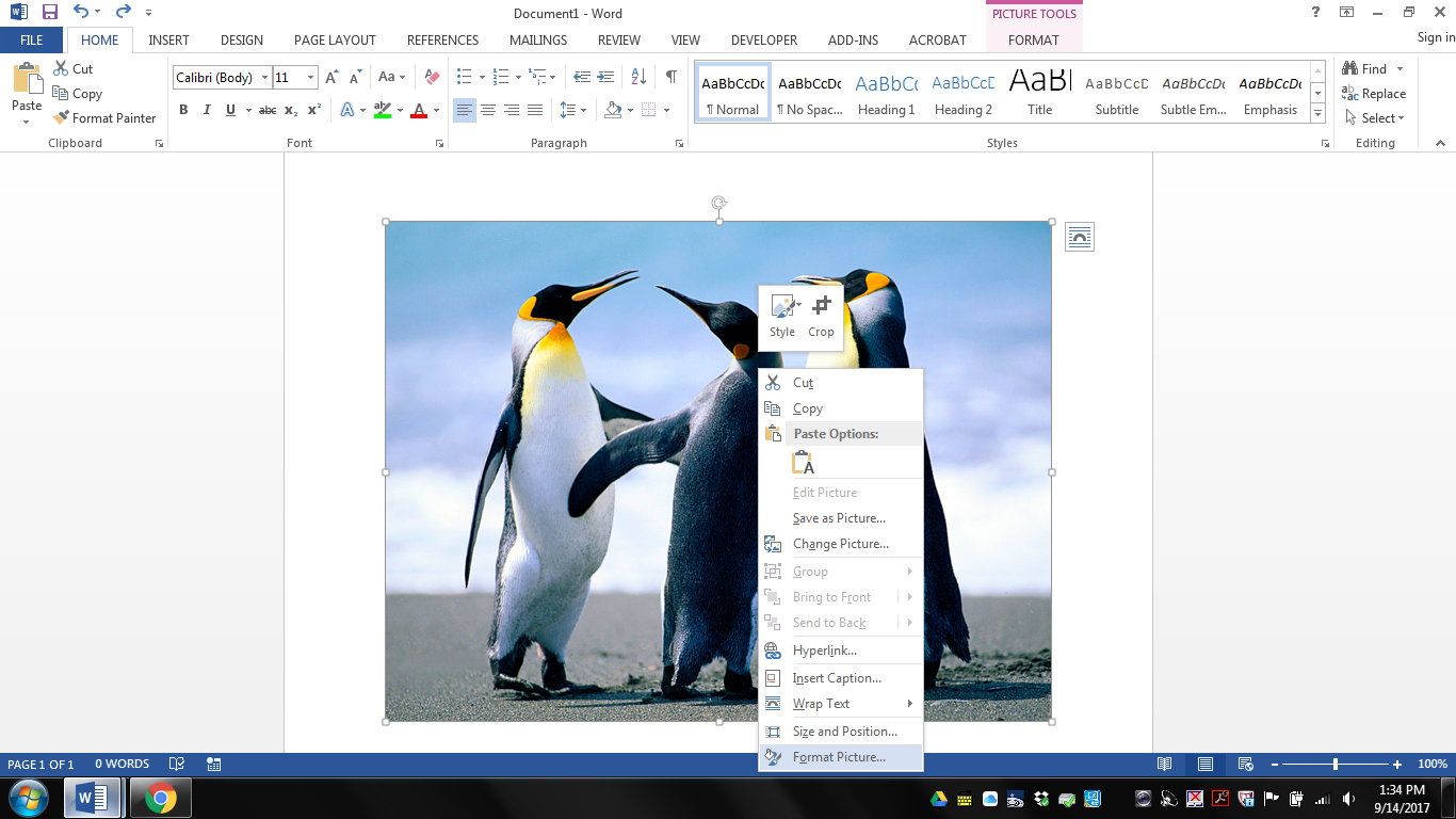Universal Access: Adding Alt Text to Images in Microsoft Office ...