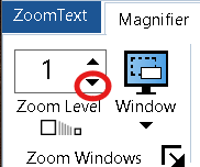 ZoomText 2024 – Magnifier – Vermont DBVI Training